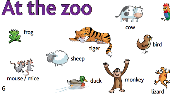 Ôn tập từ vựng chủ đề Animals ở trình độ Pre-A1 Cambridge Starters ...