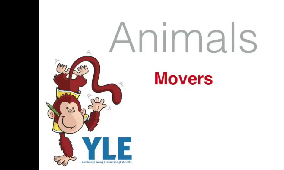 Ôn tập từ vựng chủ đề Animal ở trình độ A1 Cambridge Movers - TAK12 ...