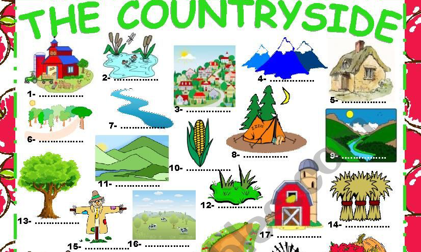 Ôn tập từ vựng chủ đề Places: Countryside ở trình độ B1 PET - TAK12 ...