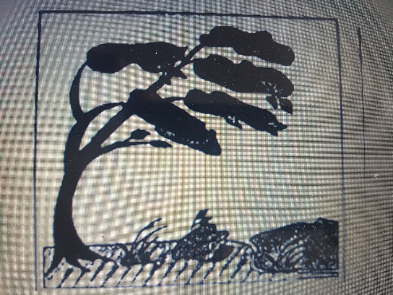 ENGLISH CHAMPION 2017 ROUND 1 – GRADE 6 (Test 1) - TAK12 - Học thêm ...